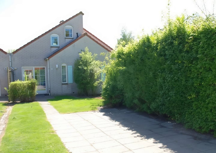 Cardium32 - Zierikzee