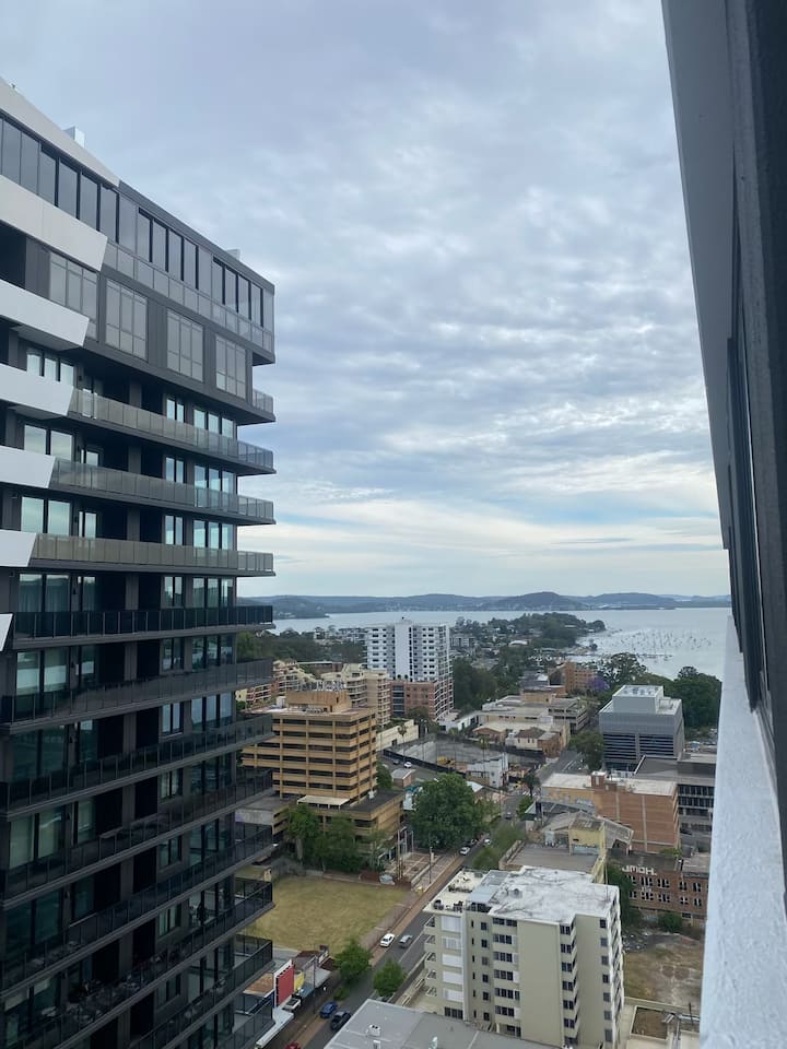 Little Archibald - Gosford