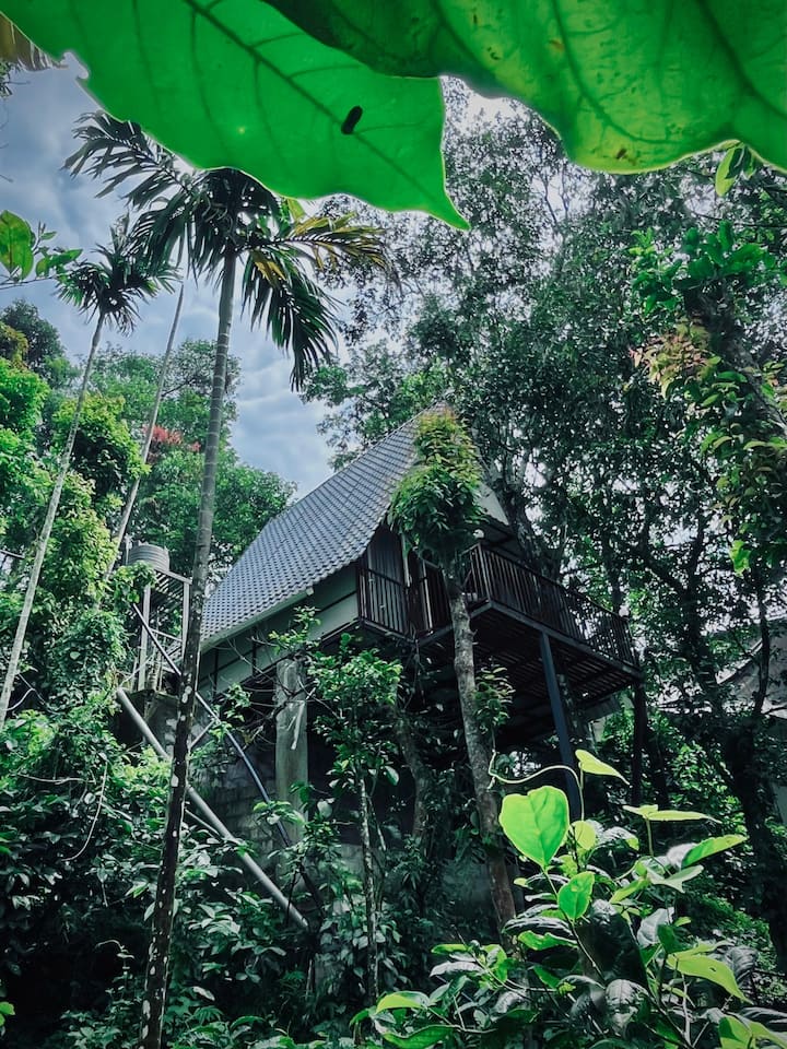 Sylora Resort | A Frame - Kerala