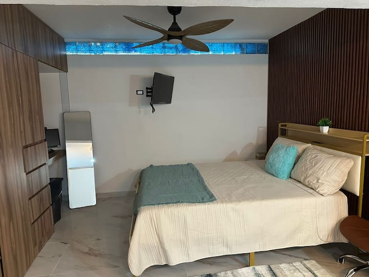 Departamento Cerca De Tec/fundidora/centro - Aqua - Messico