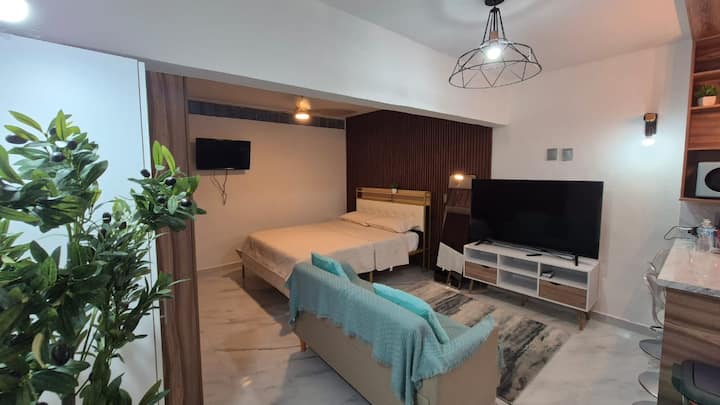 Departamento Cerca De Tec/fundidora/centro - Aqua - Monterrey