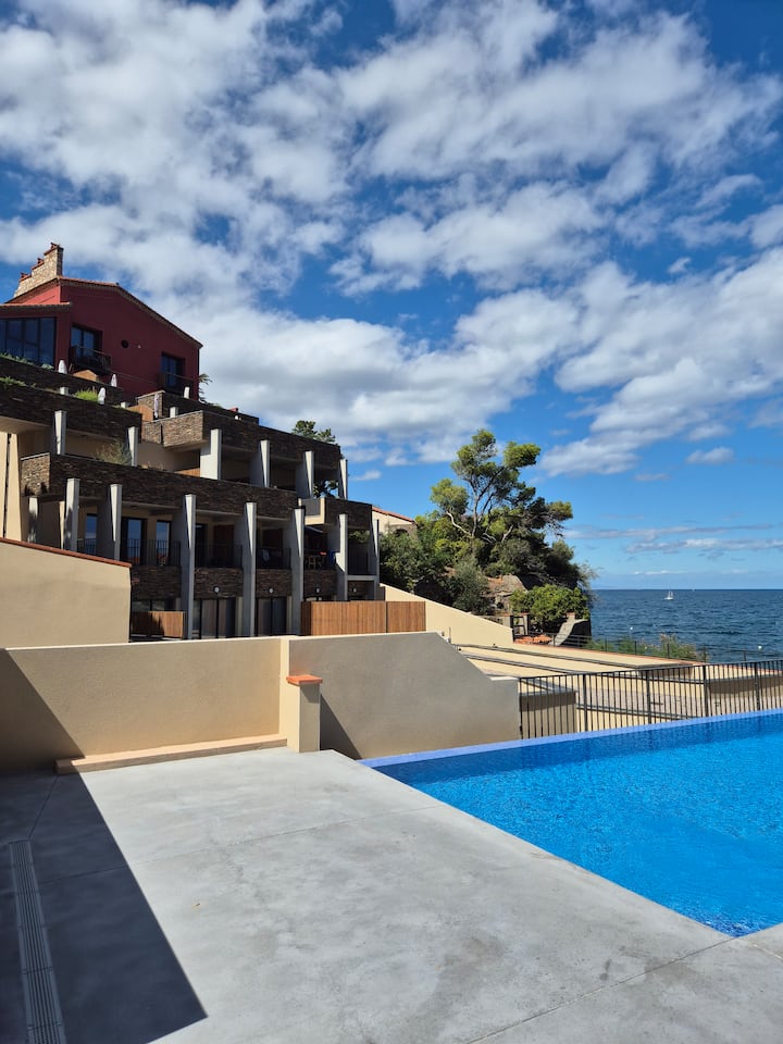 Exceptionnel: Piscine & Terrasse Vue Mer/crique - Collioure