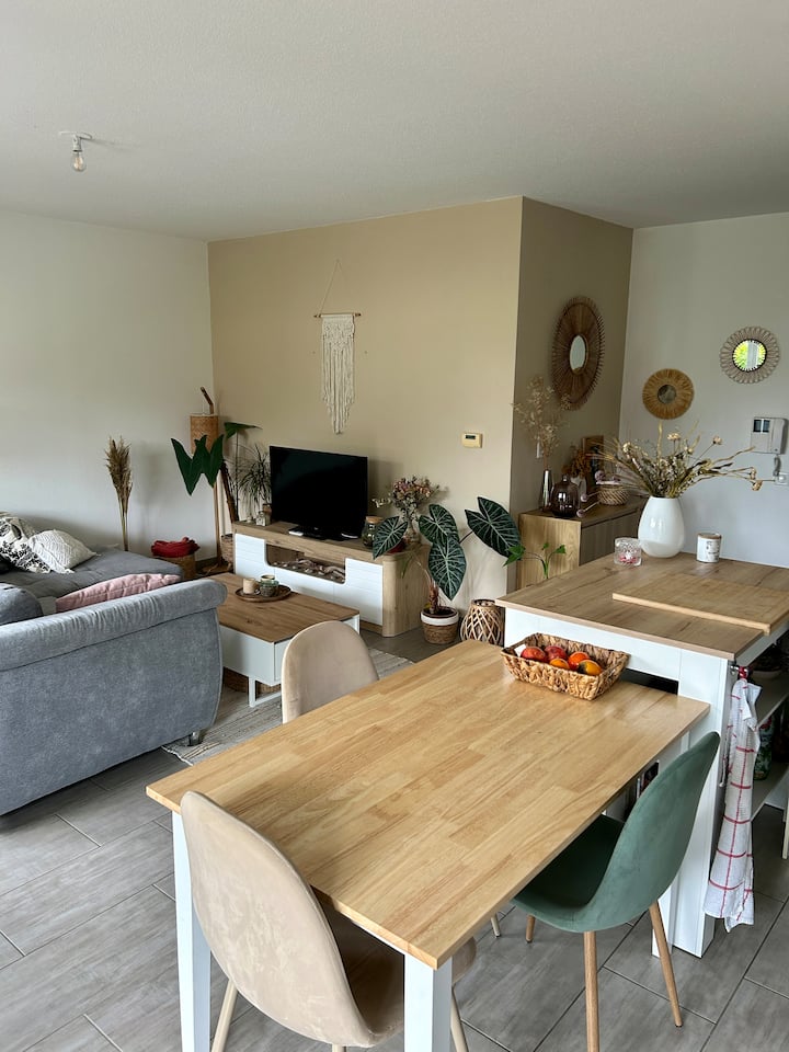 Appartement 3 Pièces Strasbourg - Strasbourg