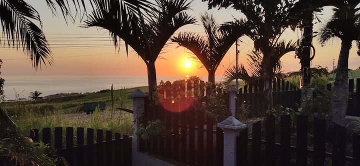 Fleur De Canne - La Réunion