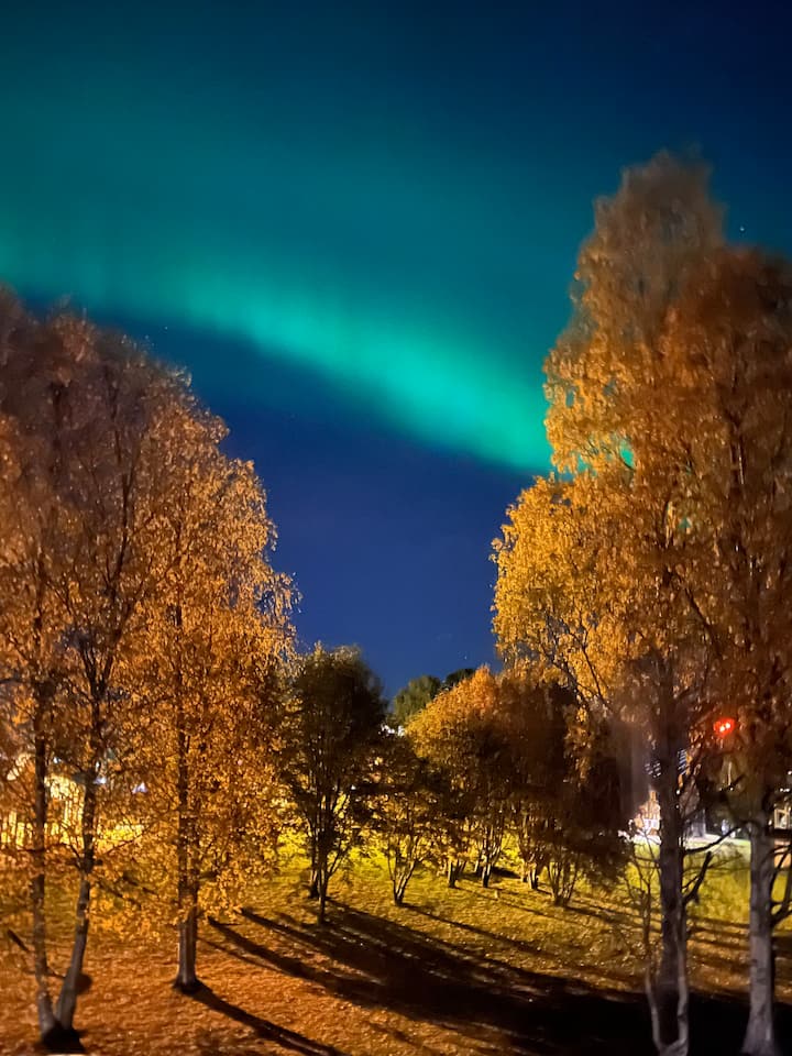 Cozy Apartment Next To The River - Rovaniemi