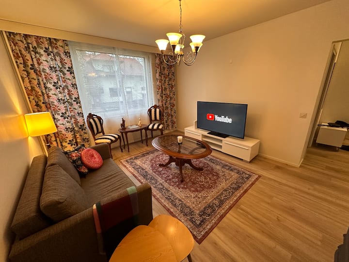 Kaksio Hyvällä Sijainnilla Kivistönmäellä - Lahti