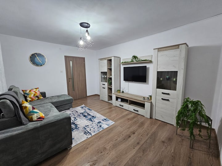 Greenstudio - Timișoara