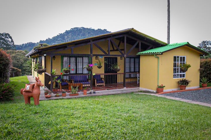 Finca - Santa Rosa de Cabal