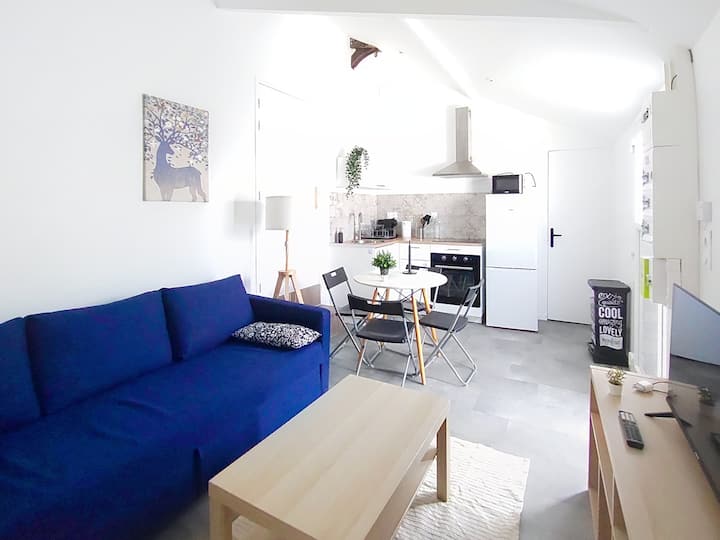 L'adonis - Charmant T2 Proche Orléans - Meung-sur-Loire