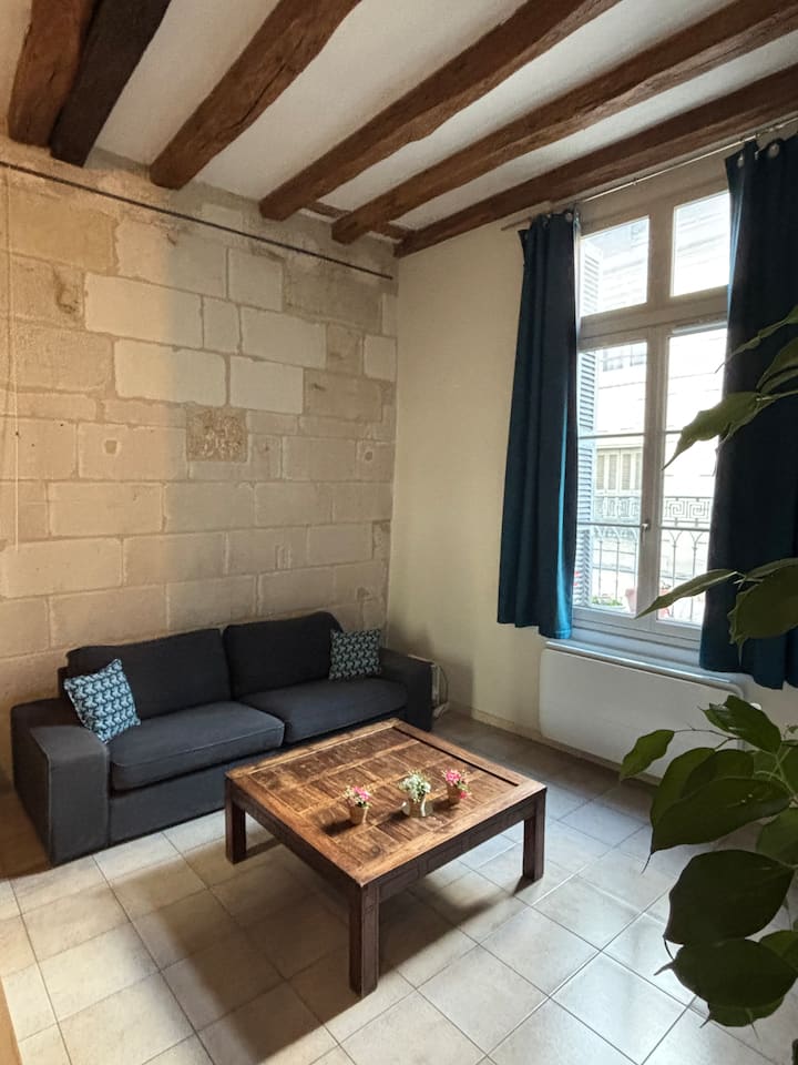 Charmant Appartement - Tours