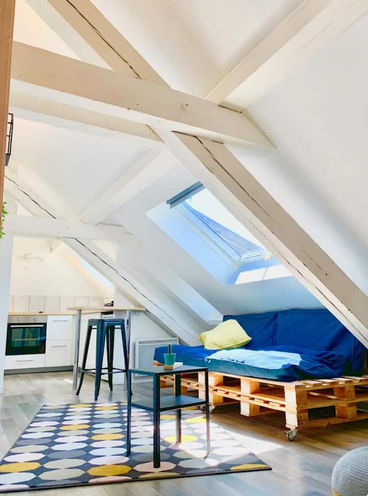 Cosy Strasbourg - Strasbourg