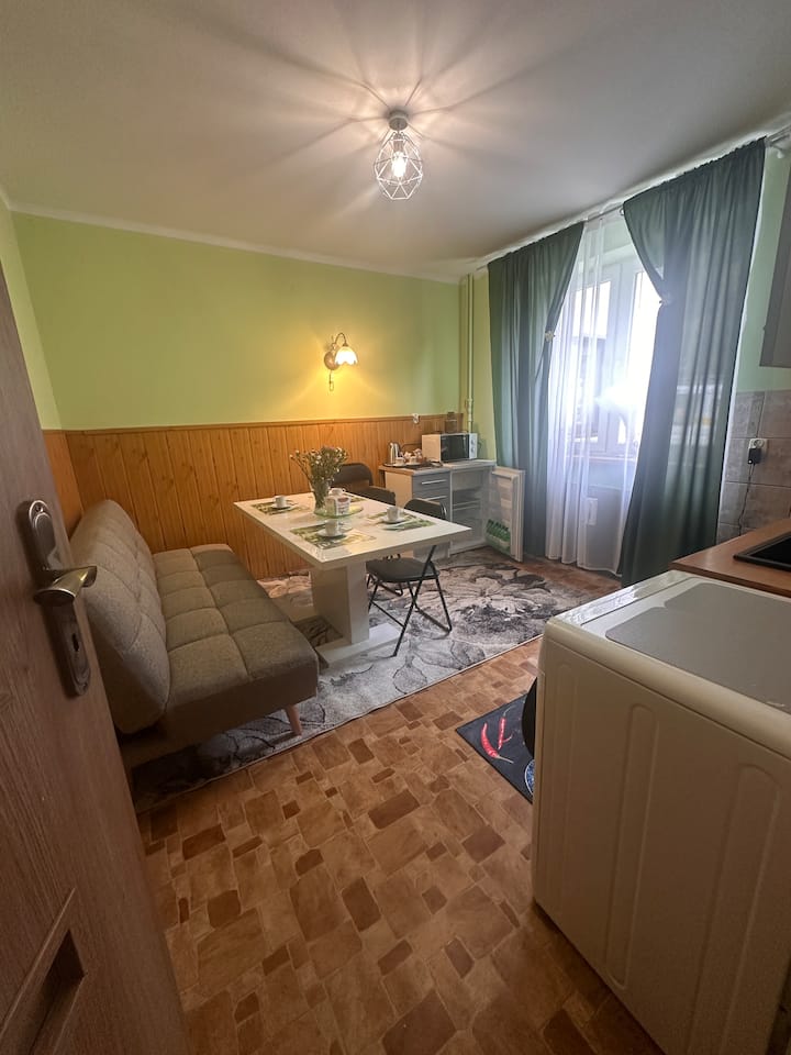 Wypoczynek Między ŚWierkami - Ustroń