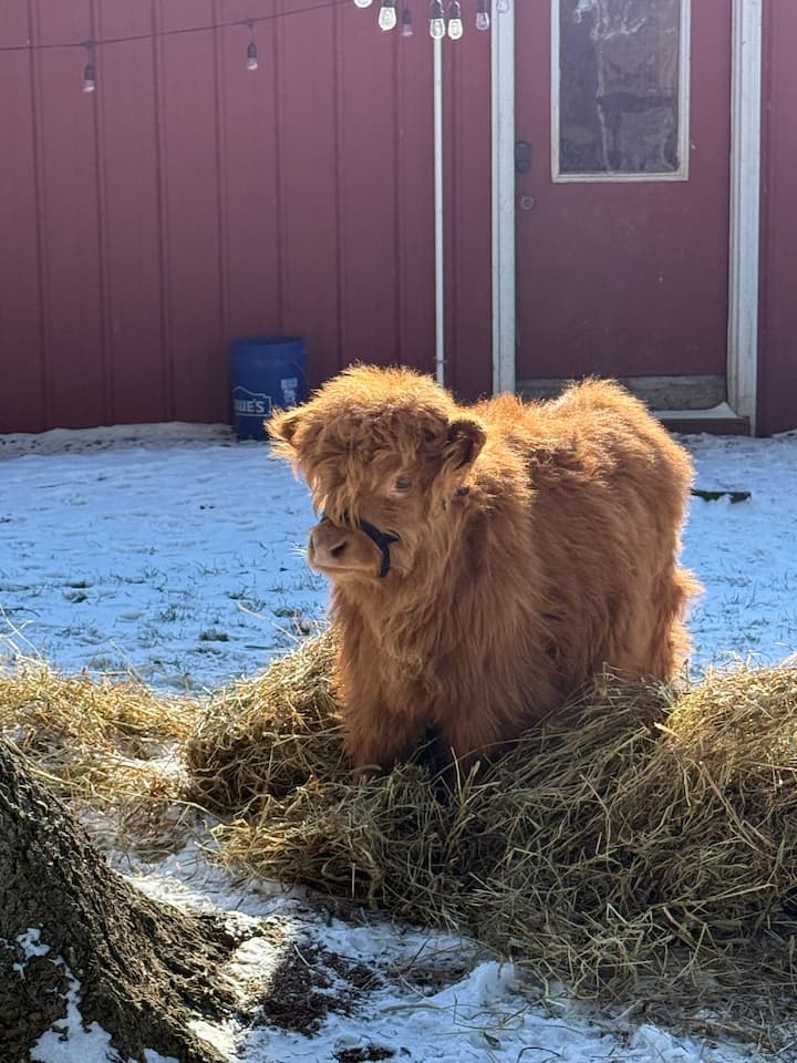 Country Hideaway - Ontario, NY