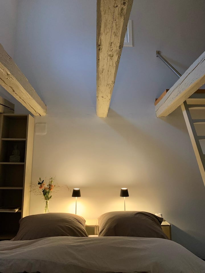 Maisonnette à Colombages - Le Zénith de Strasbourg