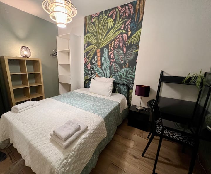 Chambre Cosy Avec Salle De Bain à Partager - Thionville