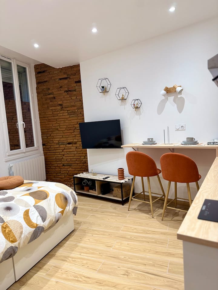 La Briquette - Toulouse Hypercentre Capitole - Toulouse