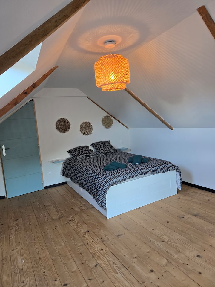 Jacques Vabre - Saint-Quay-Portrieux