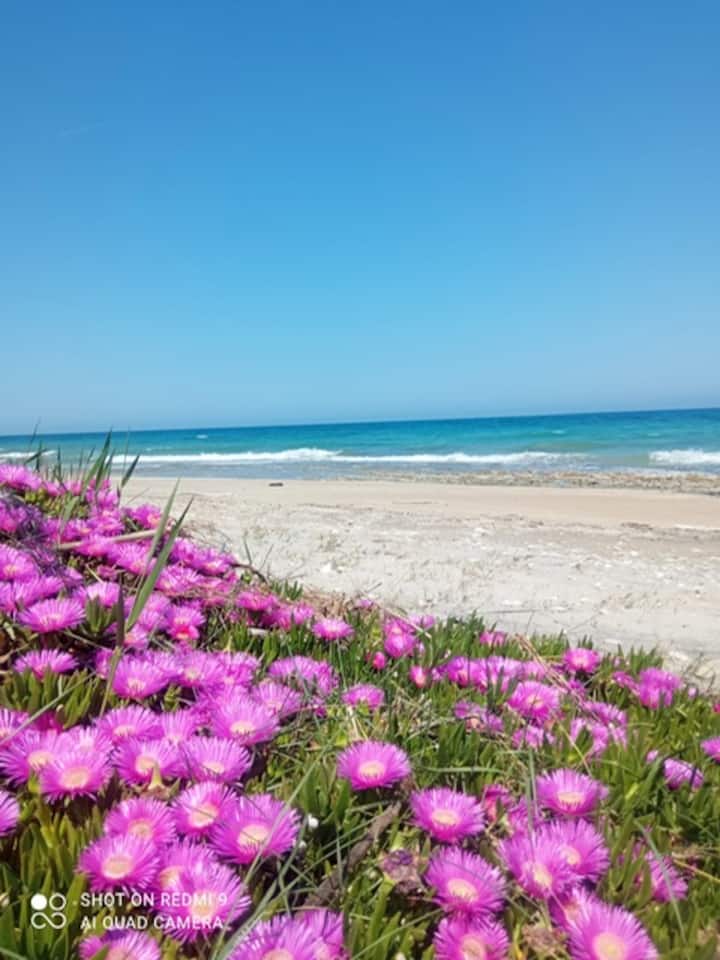 Salento, Bilocale Fronte Mare, Residence Nel Verde - Salento