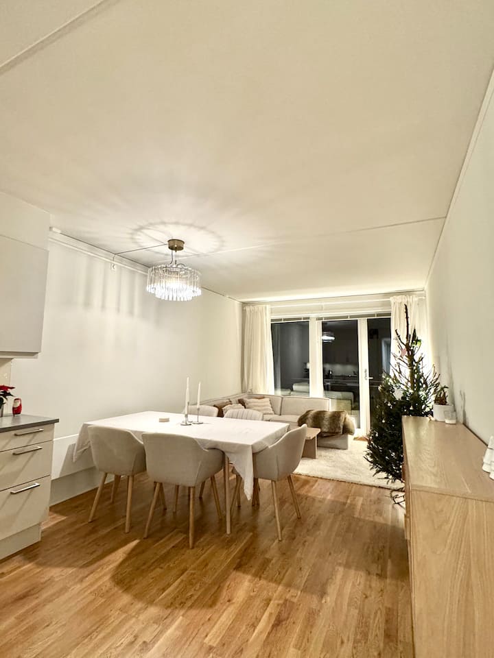 Super Central, Indoor Parking Available, 2 Bedroom - Oslo
