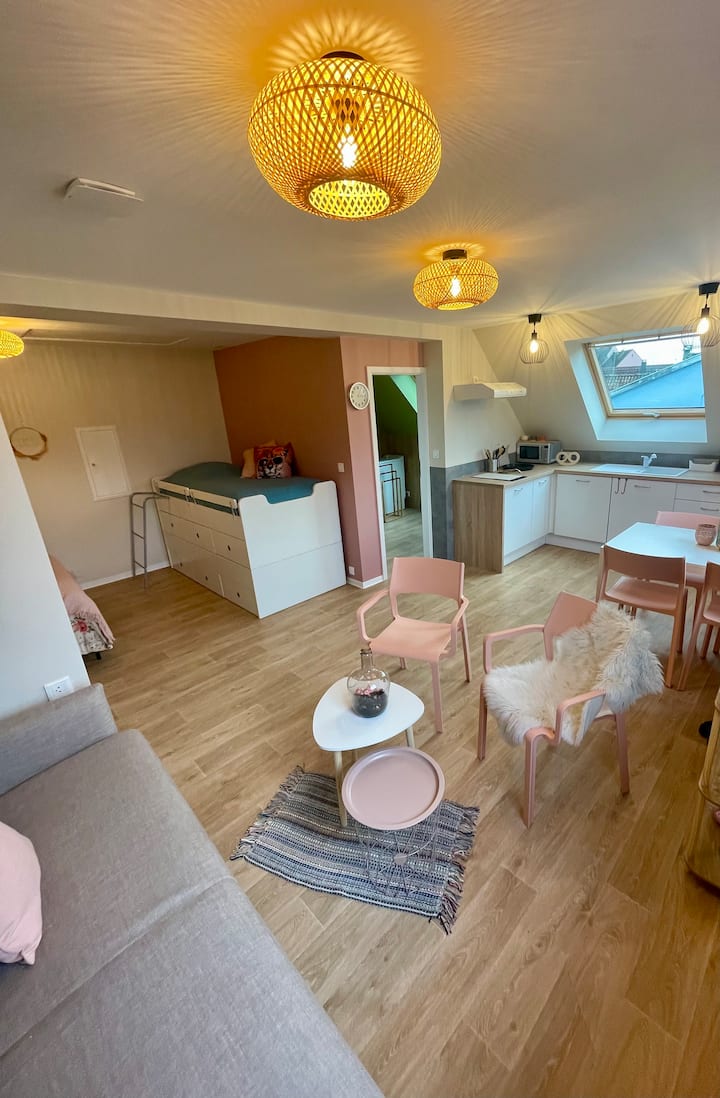 Mag'gîte-nouveau- Lumineux - 5 Couchages-clim - Eguisheim