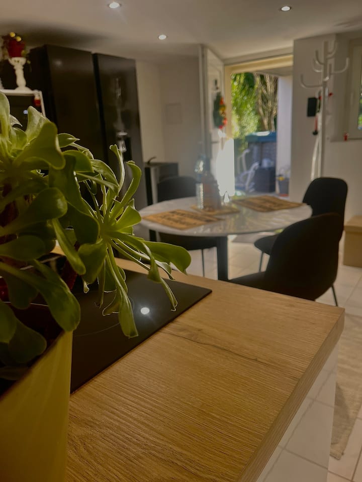 Le Cocoon Caché Calme Avec Place De Parking - Sarreguemines