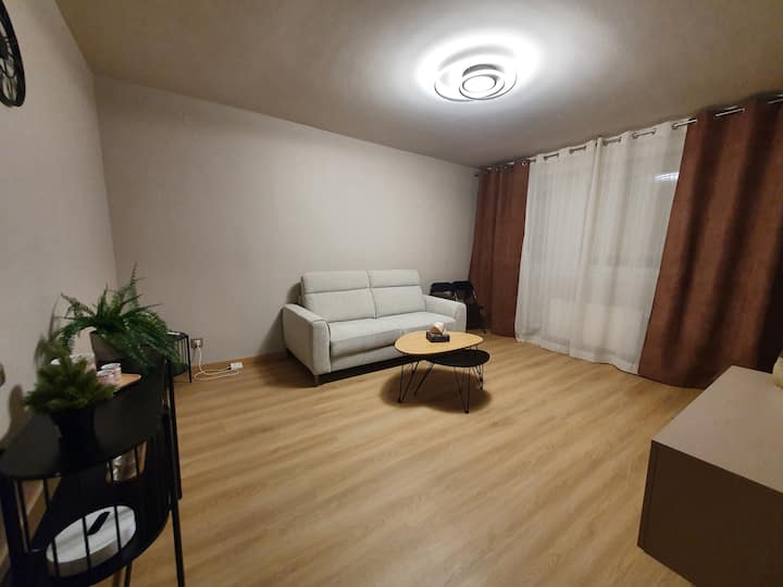 Logement Moderne Et Chaleureux - Strasbourg