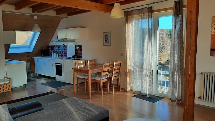 Geräumig Mit Weitblick - Titisee-Neustadt