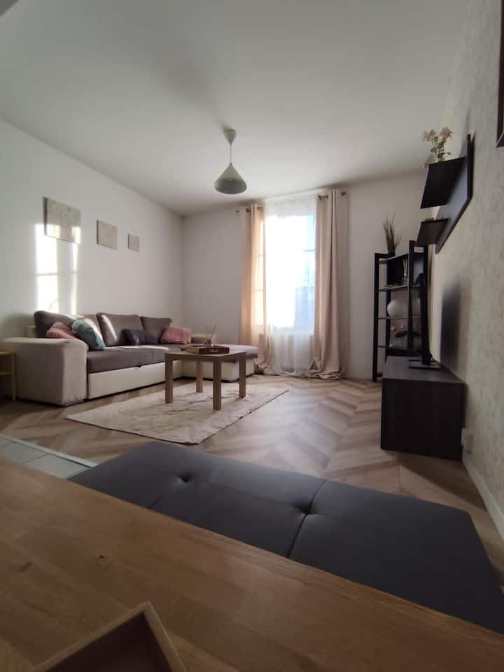 Appartement Duplex Metz Centre - Metz