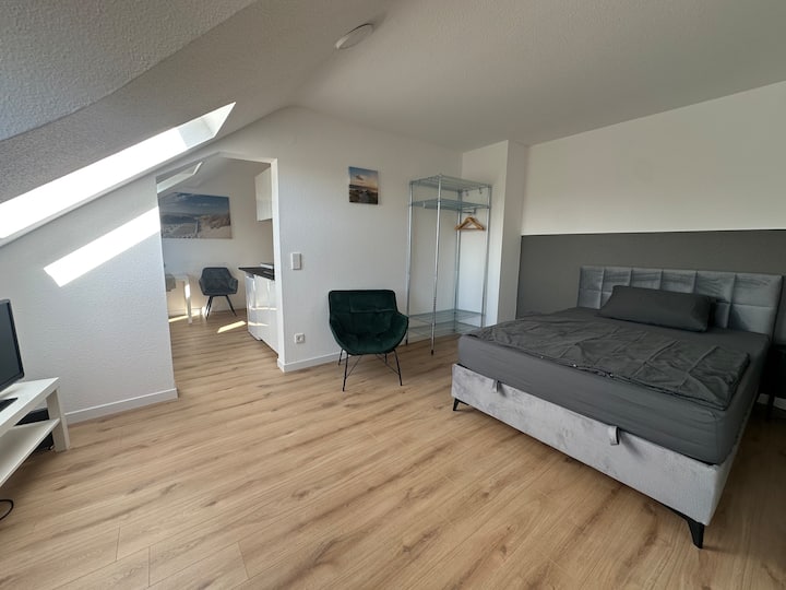 Modernisierte Wohnung Am Rheinauer See - Mannheim