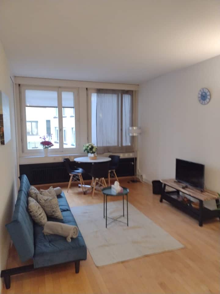 Smart And Quiet Apartment In Downtown Zurich - Zürich