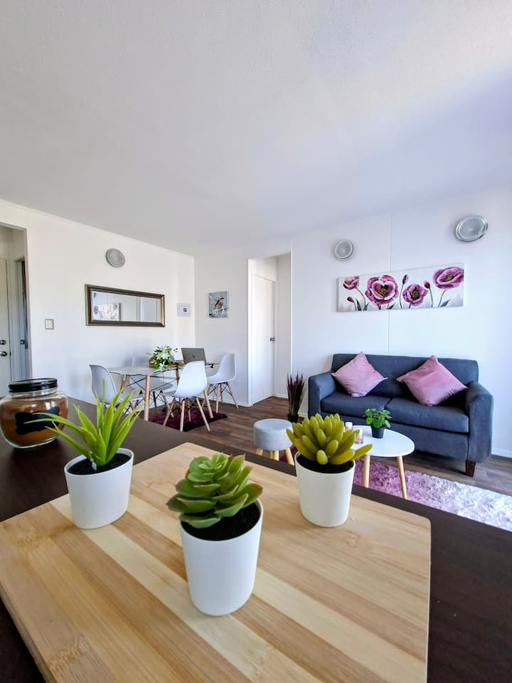 Depto. Céntrico, A Pocas Cuadras Del Lago - Los Ríos