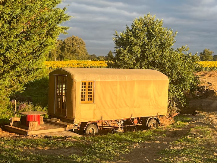 La Roulotte Est Dans Le Pré - Haute-Vienne