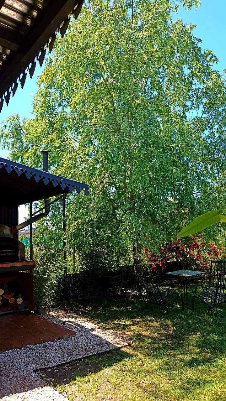 Casa Quinta "El Campito" - San Vicente, Argentina