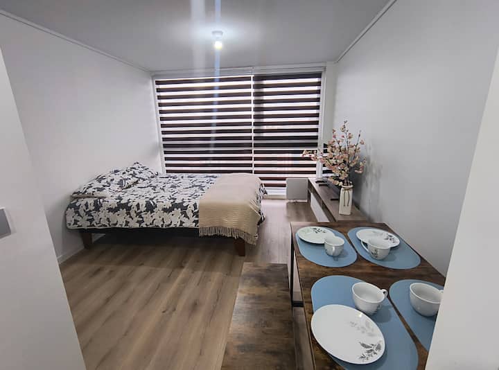 Moderno Estudio En Osorno, Full Equipado - Osorno