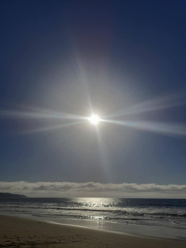 Simplemente Genial: Mar, Playa, Sol, Bosque - Quintero