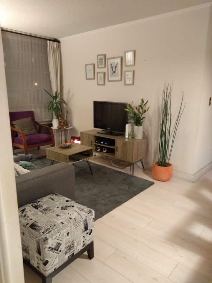 Cómodo Depto  ¡Tu Estancia Perfecta En La Ciudad! - El Bosque, Chile