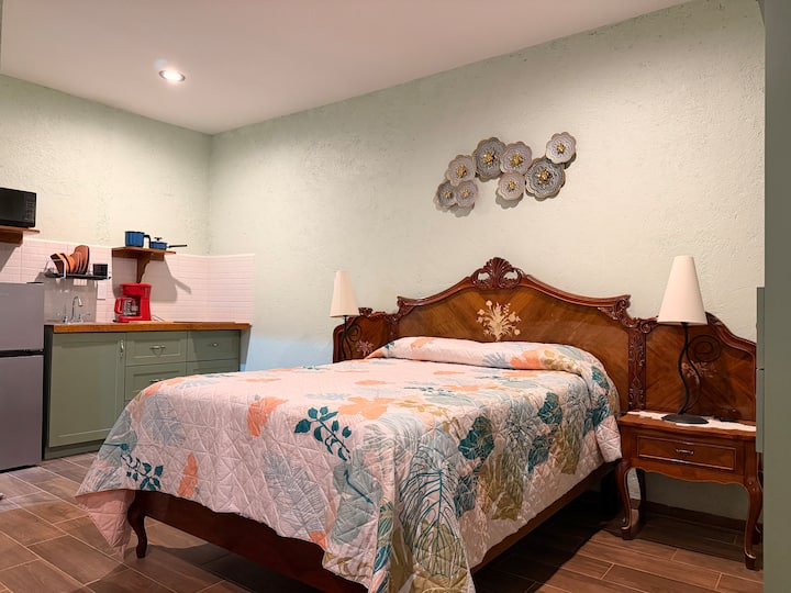 Studio Planta Baja Casa Barranca - San Francisco del Rincón