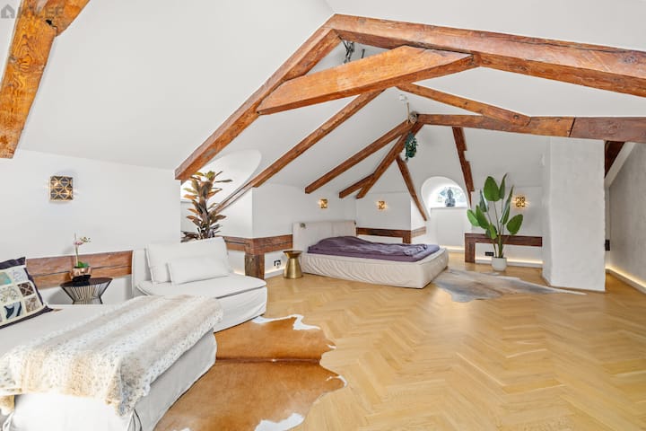 Modern Penthouse+garden+ Old Town - Tallinn