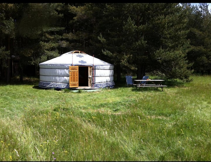 Yourte Les Insolites - Var