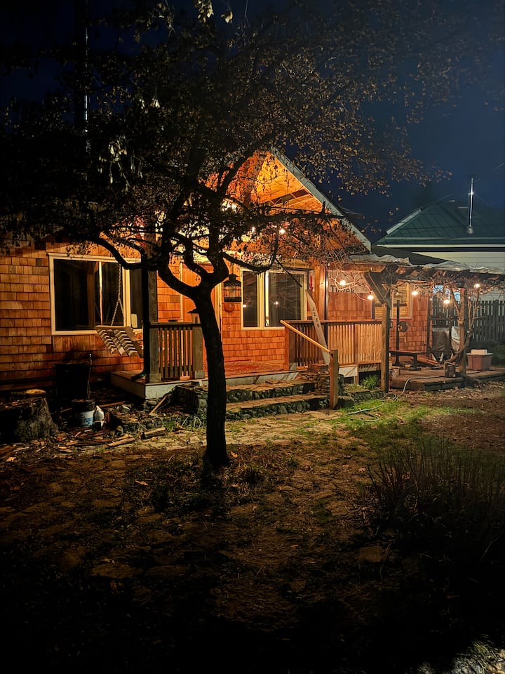 Little House By The Forest - コートネイ