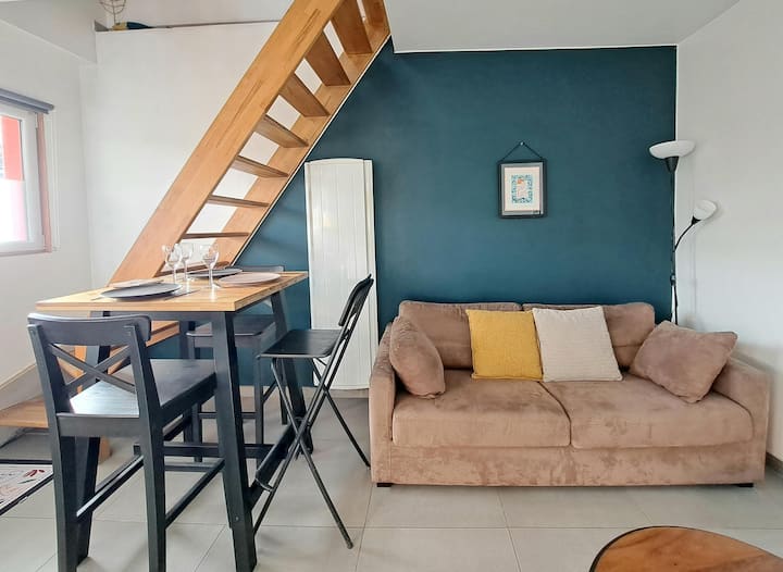 Appartement Proche Lille Avec Grand Jardin Arboré - Seclin