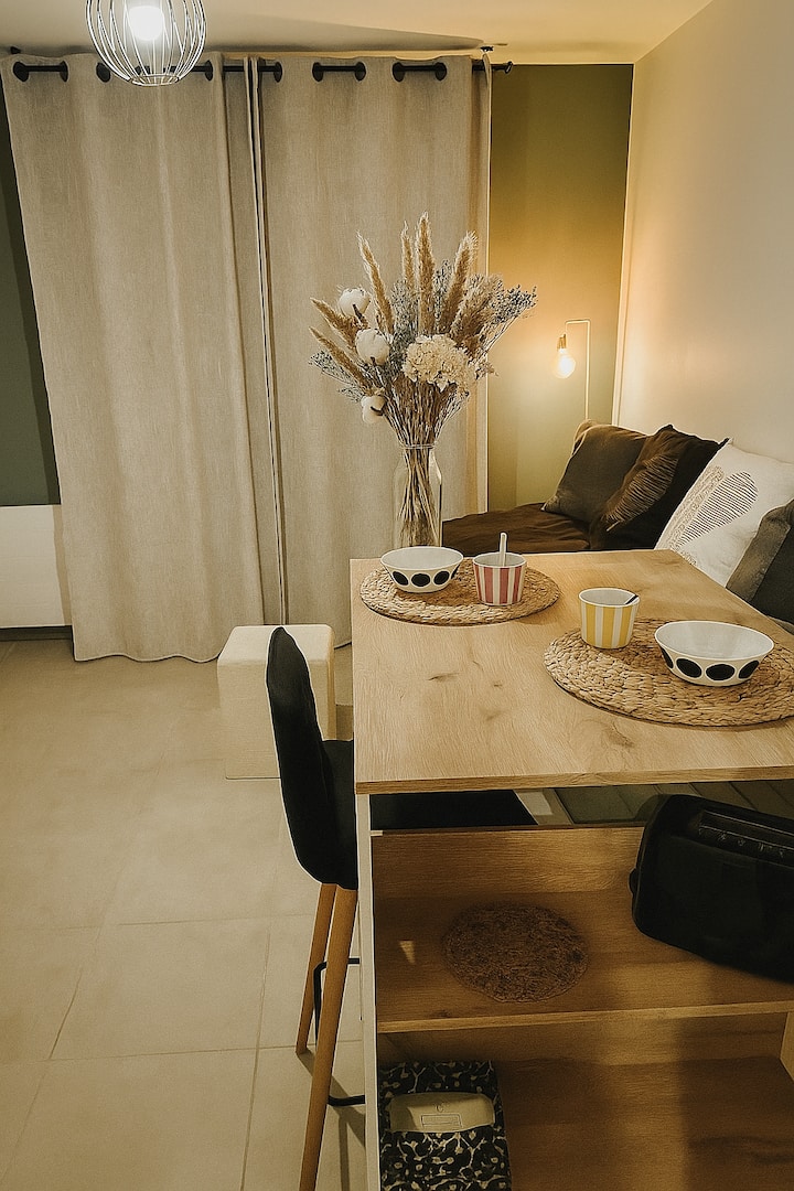 Studio Neuf Cosy à 2 Pas De La Cité Du Design - Saint-Étienne