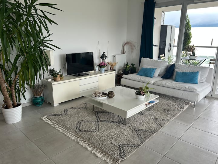 Appartement Lumineux Et Calme à 2 Pas De Cern. - Saint-Genis-Pouilly