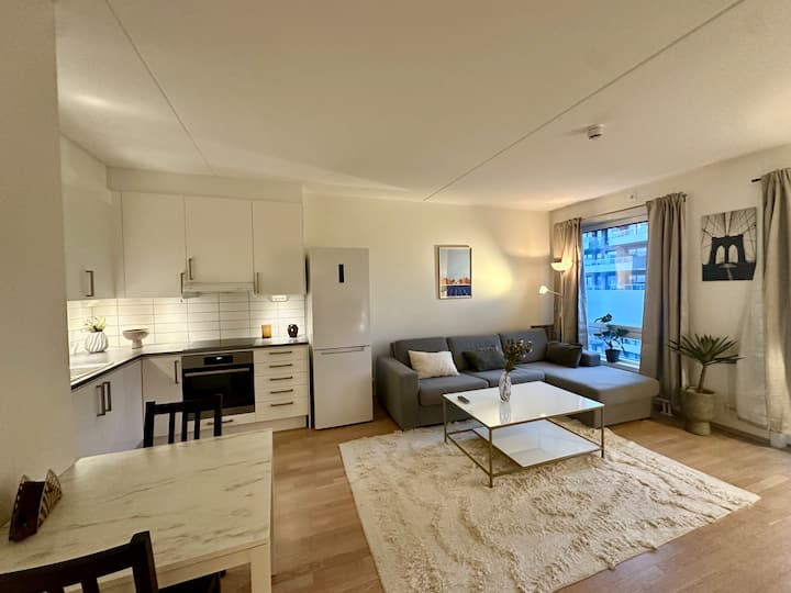 Sentral Og Koselig Leilighet - Oslo