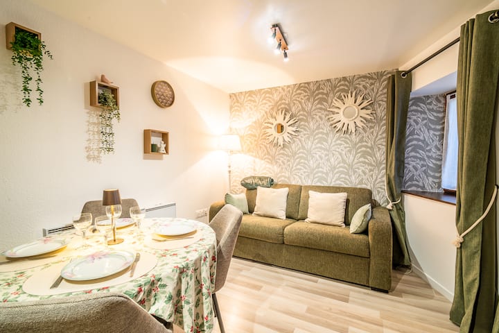 Suite Cosy Vieille Ville - Cocon Calme Et Central - Sélestat