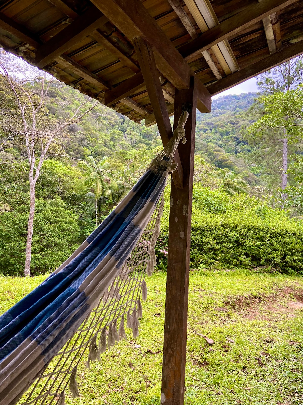 Refuge in the Atlantic Forest with private river - Houses for Rent in ...