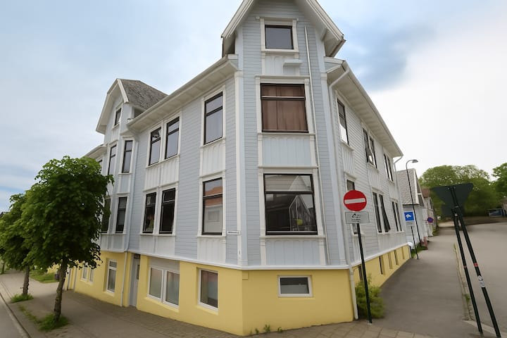 Large 4 Bedroom, 8 Guests, Free Parking - Stavanger
