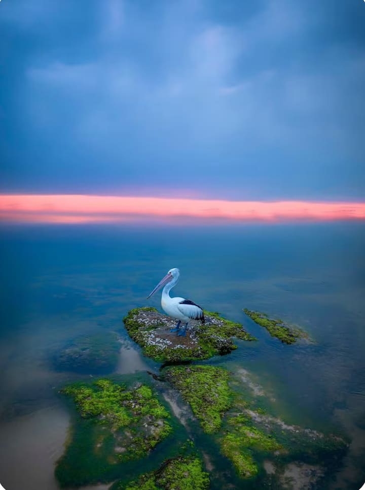 Beach Pool Lake10min Walk Shops Club2min Greathome - The Entrance