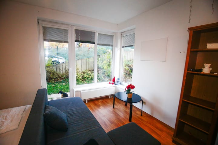 Spacious Studio With Private Garden In Prague - Praga