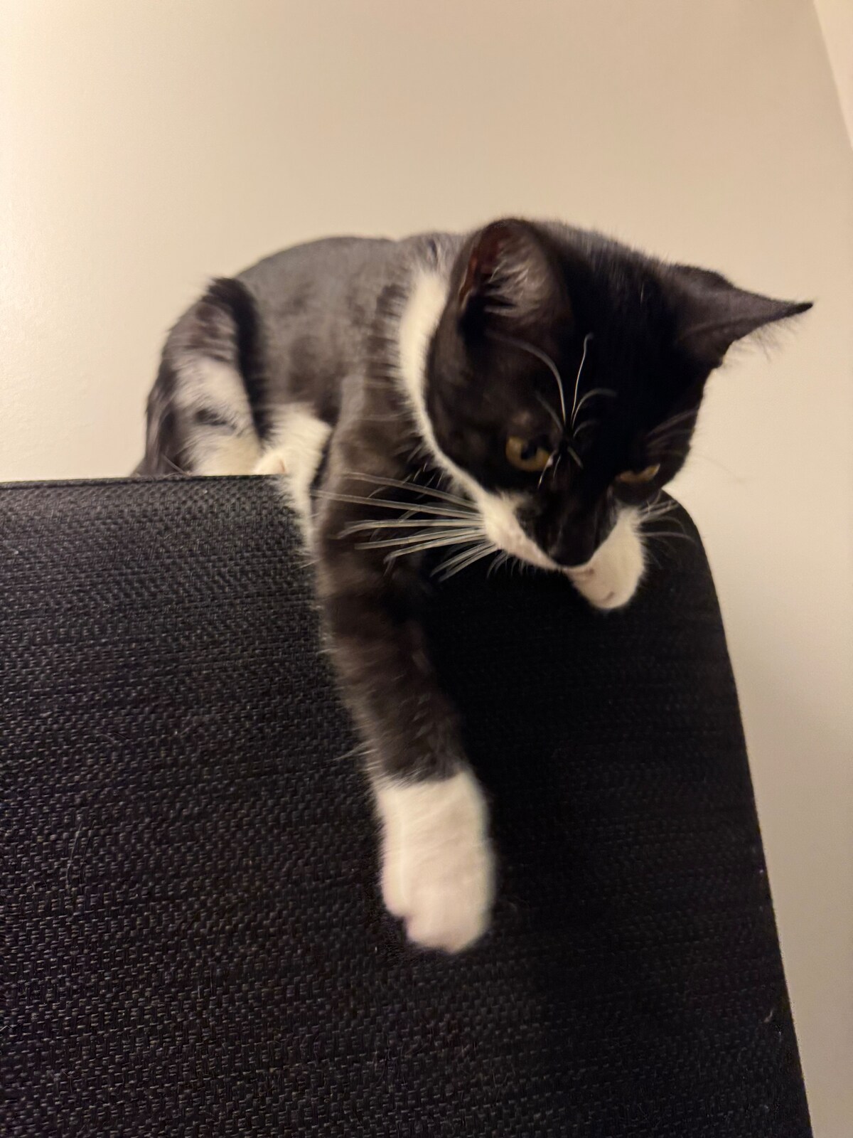 Studio confortable avec balcon - Airbnb